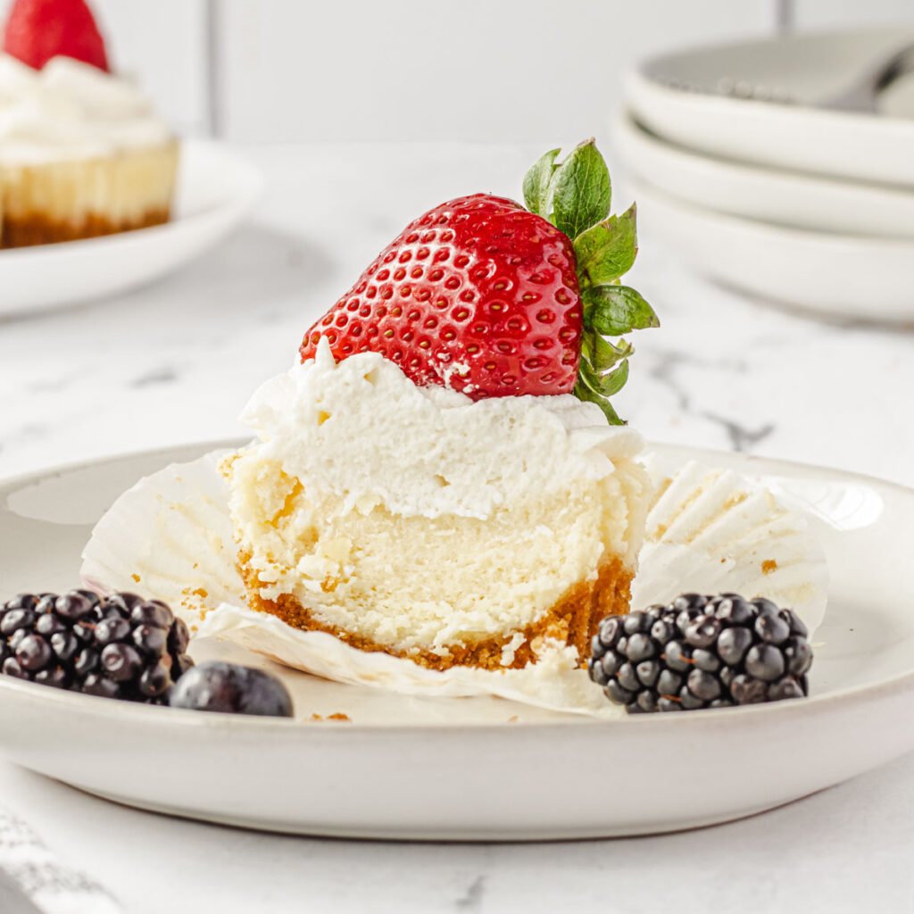 Baked vs. No-Bake Cheesecake – State of Dinner